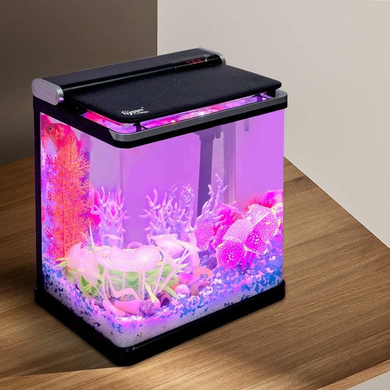 Smart 4 Gallon Desktop  Betta Office Fish Tank